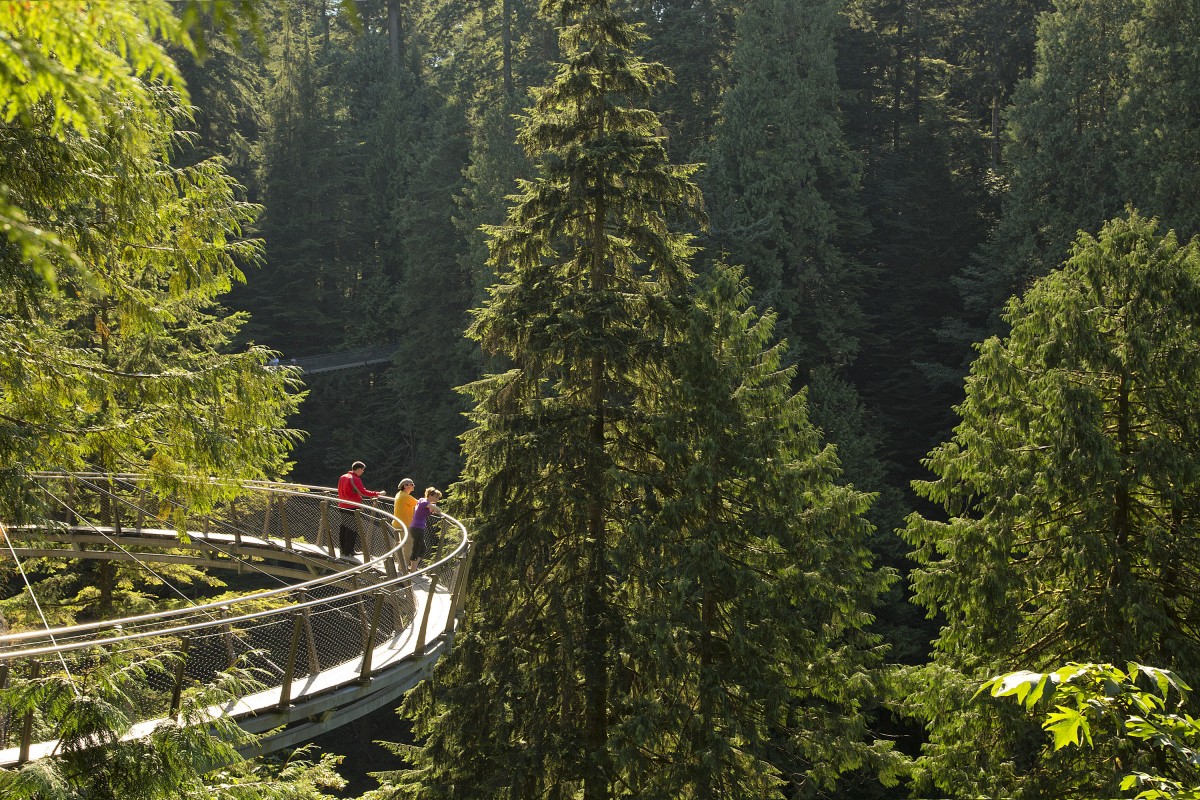 Capilano Suspension Bridge